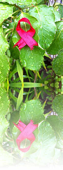 The Story of a Red Ribbon - HubPages