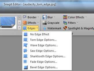 Snagit Screen Capture Software and Image Editor - HubPages
