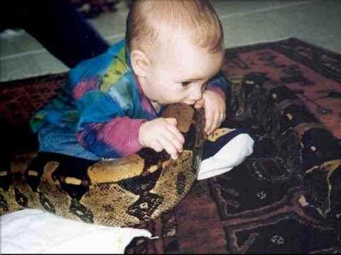 Burmese Python- An Invasive Species Exposed - HubPages