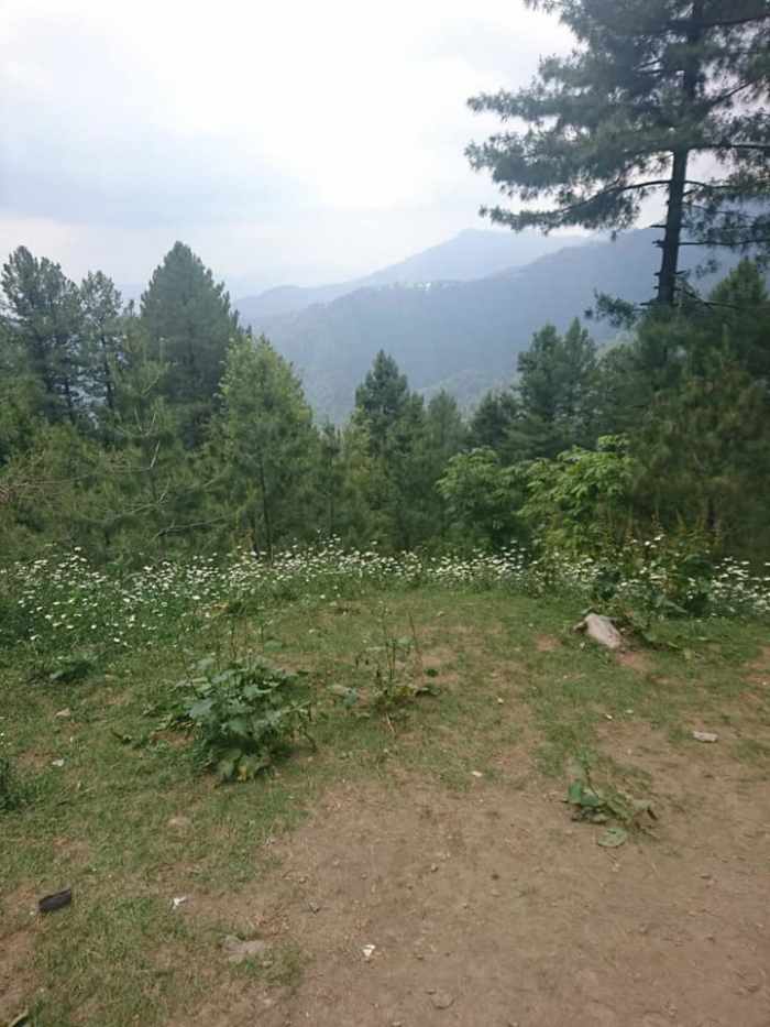 An Adventurous Botany Field Trip to Khanaspur: Ayubia - HubPages