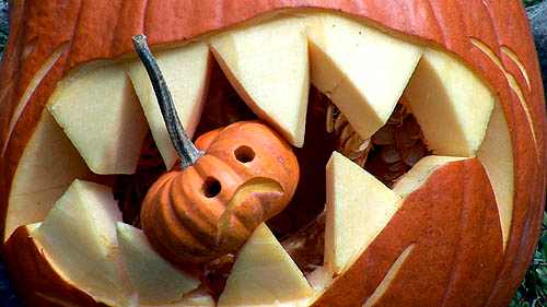 Photos of Amazing, Unique Pumpkin Carving Designs - HubPages