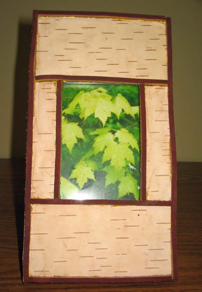 How To Make A Picture Frame Using Birch Bark Branches - HubPages
