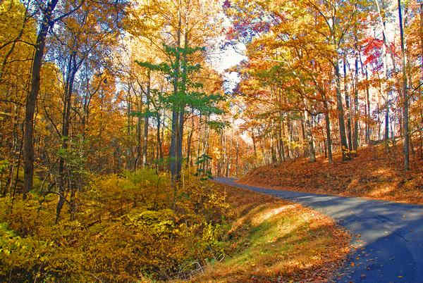 Autumn Colors in Forest Virginia and Thomas Jefferson's Poplar Forest ...