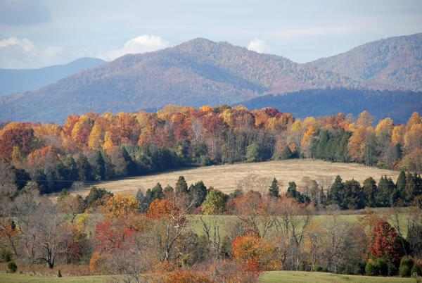 Autumn Colors in Forest Virginia and Thomas Jefferson's Poplar Forest ...