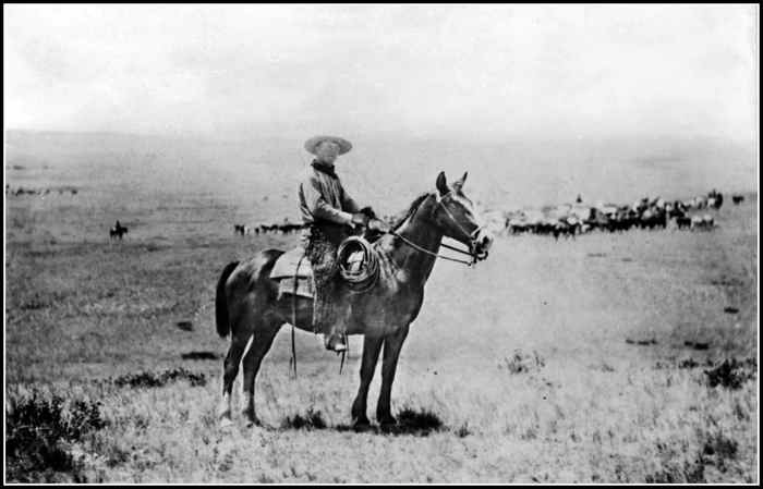 The Great Cattle Drives: Frontier life in Oklahoma 1866-1889 - HubPages