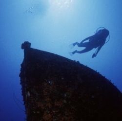 Diving Into the Wreck Analysis - HubPages