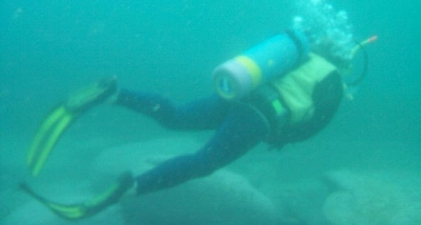 Diving Into the Wreck Analysis - HubPages