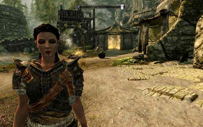 Races In Skyrim The Elder Scrolls V: With A Chart - HubPages