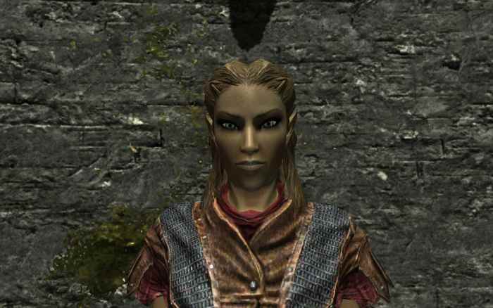 Races In Skyrim The Elder Scrolls V: With A Chart - HubPages