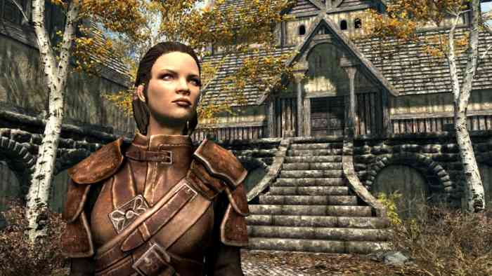 Races In Skyrim The Elder Scrolls V: With A Chart - HubPages