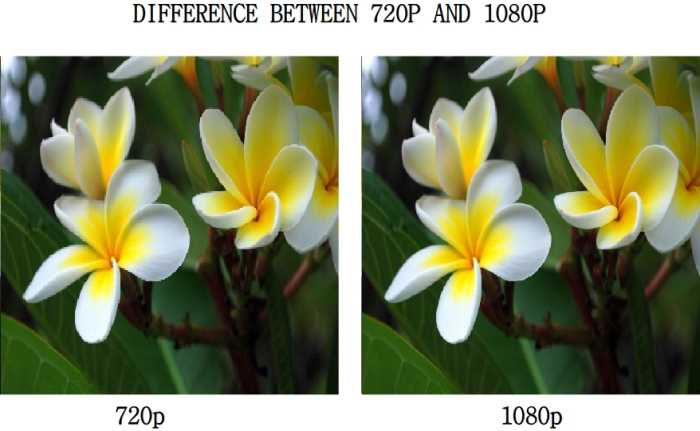 720p vs 1080p – What is the Meaning of These Terms in Simple Non ...