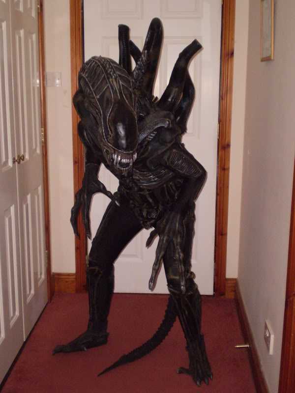 Crazy Creature Costumes - HubPages