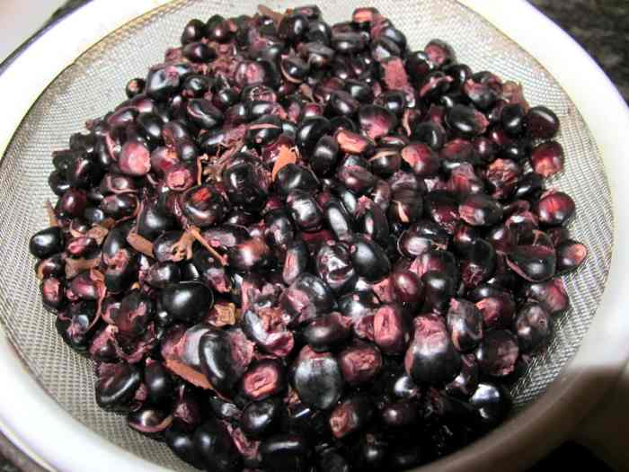 Purple Corn or Maiz Morado: Health Benefits - HubPages