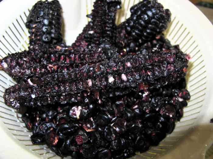 Purple Corn or Maiz Morado: Health Benefits - HubPages