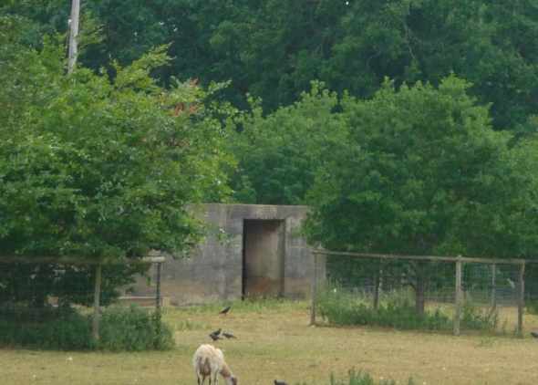 GHQ British World War II Defensive Line - HubPages