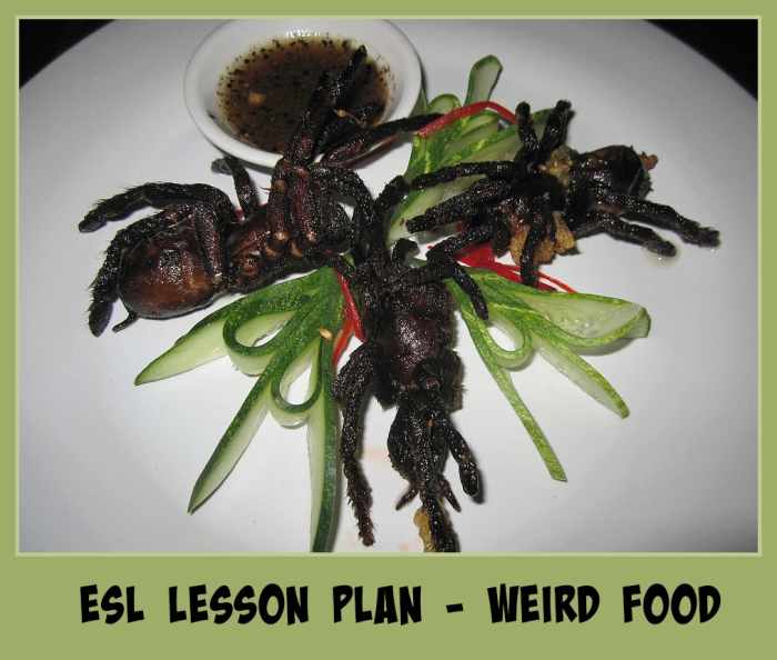 ESL Intermediate Lesson Plan - Weird Food - HubPages