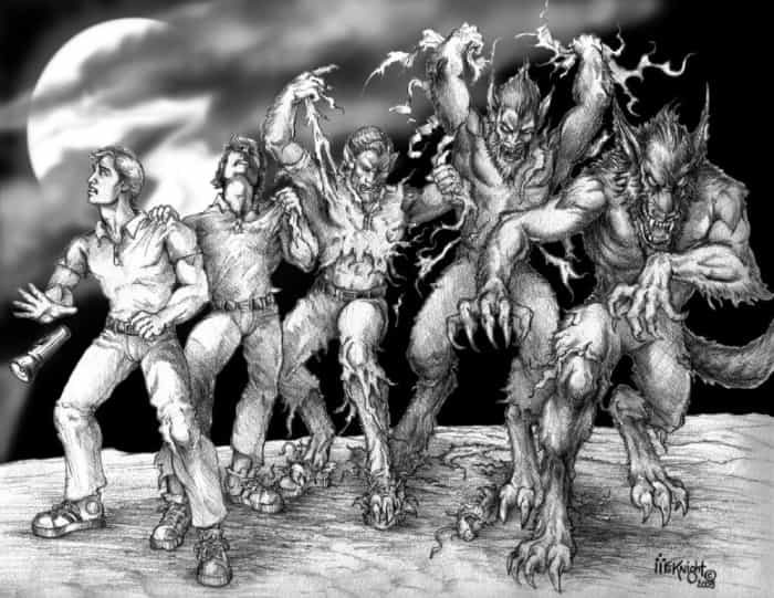 We Who Hunt Werewolves; the histroy of werewolf hunters - HubPages