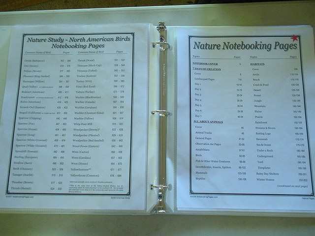 Notebooking for High Schoolers - HubPages