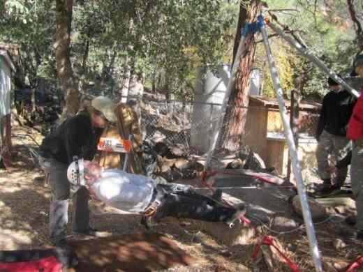 Ropes That Rescue: Arizona Vortex Rigging Class - HubPages