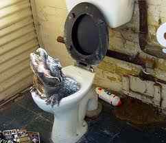 Illinois Edition - Urban Legends, Monsters And Haunted Places, The ...