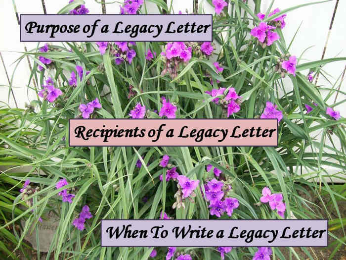 How To Write a Personal Legacy Letter (Ethical Will) - HubPages