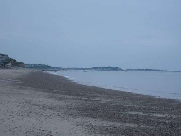 What is Wampum? Searching for Wampum Shells - HubPages