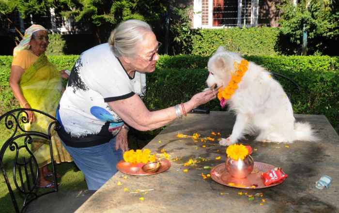 Kukur Tihar Festival: The Hindu Tradition of Dog Worship in Nepal ...
