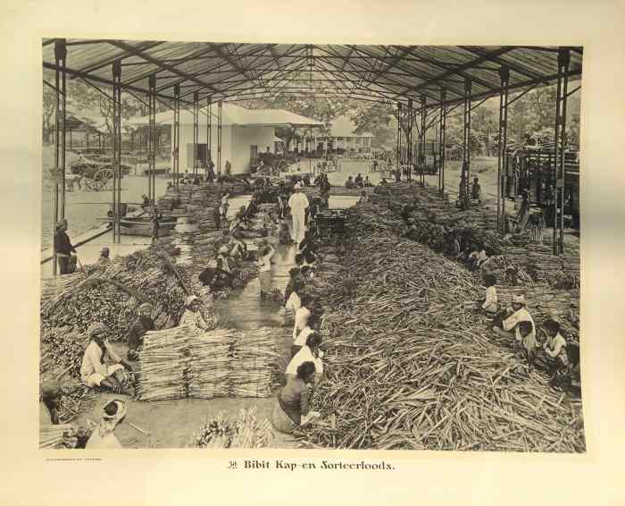 Sugar, Steam, and Steel: The Industrial Project in Colonial Java, 1830 ...