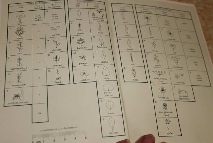 Middle School Biology First Day of Class - HubPages