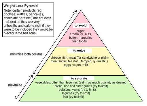 Nutrition With Different Food Pyramids and Plates - HubPages
