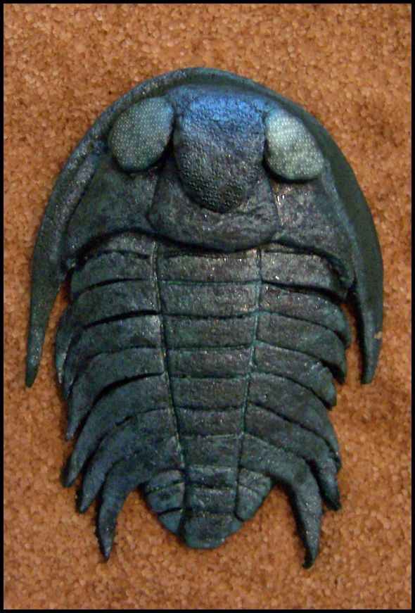 How to Make a Fondant Trilobite - HubPages