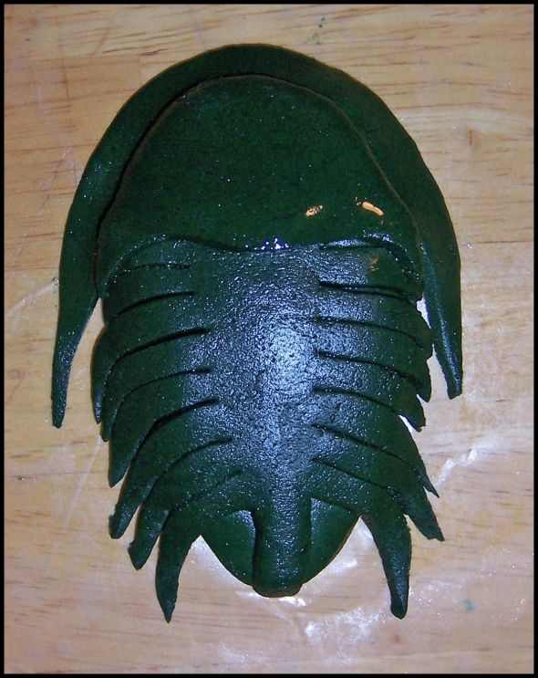 How to Make a Fondant Trilobite - HubPages