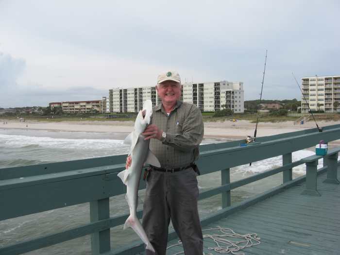 How to Prepare and How to Cook Shark Meat - HubPages