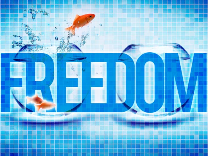 Freeman On The Land What Does It Mean? Am I A Free Man? How Do I Become ...