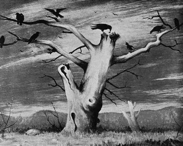 Raven Symbolism, Lore & Mythology - HubPages