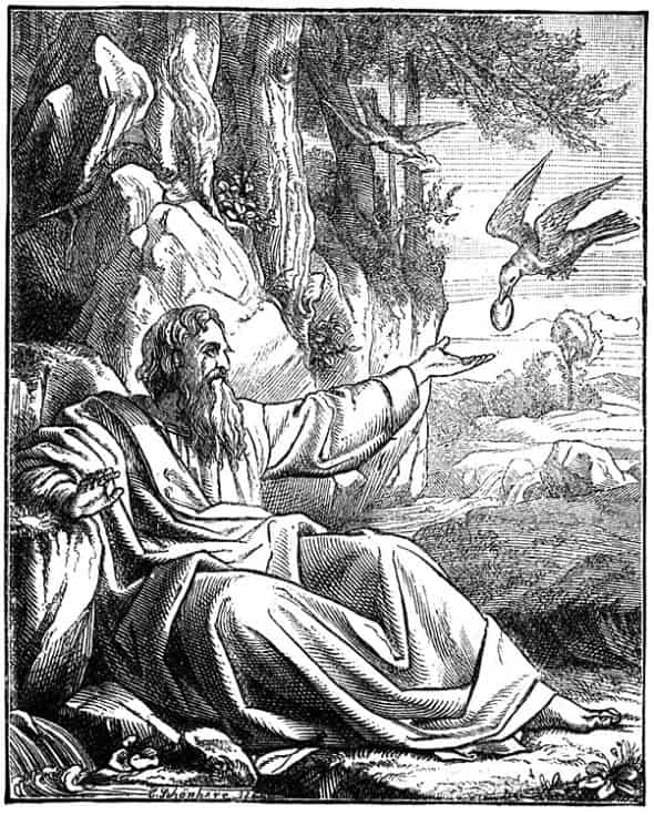 Raven Symbolism, Lore & Mythology - HubPages