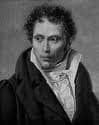 Schopenhauer and the Poodles - HubPages