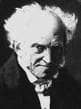 Schopenhauer and the Poodles - HubPages