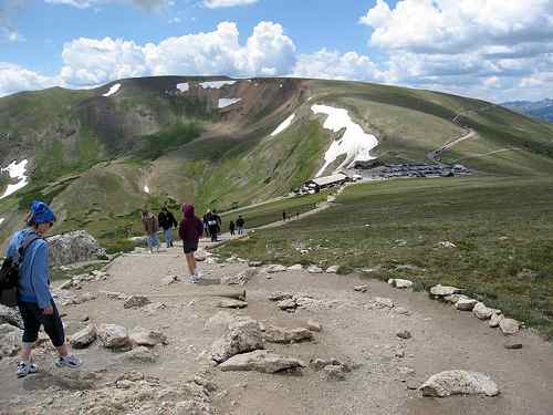 Alpine Biome - HubPages