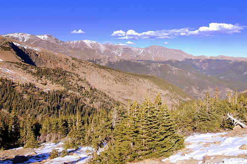 Alpine Biome - HubPages