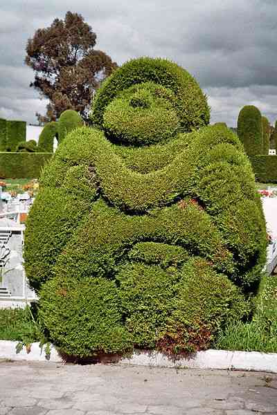 Topiary: How to Make It And Use the Frames - HubPages