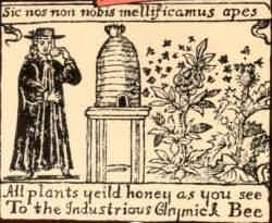 Brighid : A Bee Goddess? - HubPages