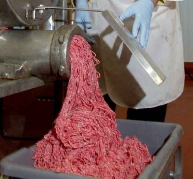 Disgusting Meat Sludge: Do You Know What You're Eating? - HubPages