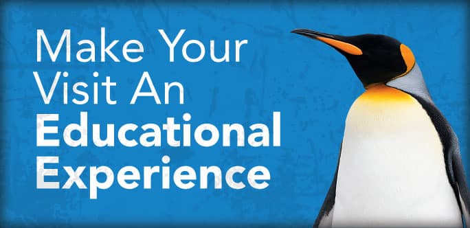 Why do we need zoos? A place were animals suffer in their unnatural ...