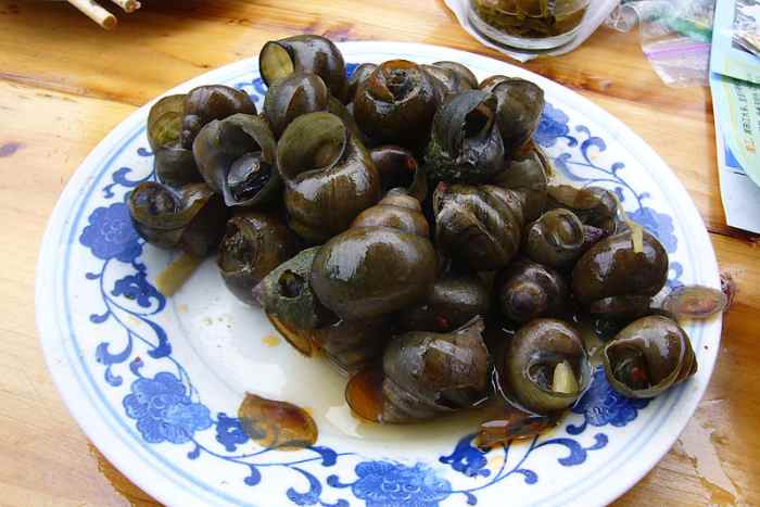 Sustainable Seafood: Have You Tasted Whelks? - HubPages