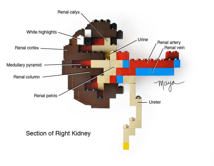 9 Simple Lego Science Projects - HubPages
