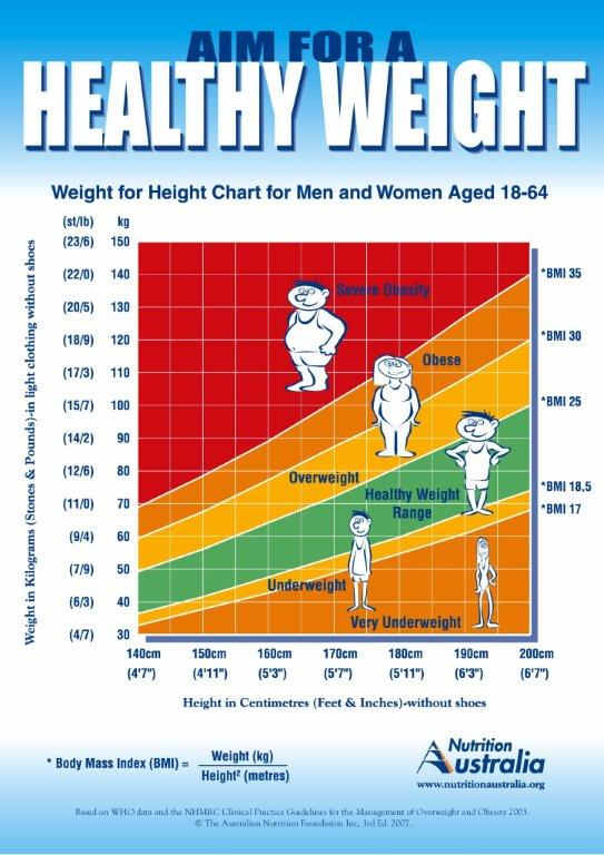 What Is BMI? With Charts and Posters - HubPages