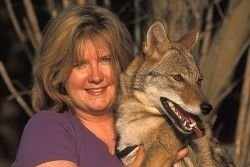 Animal Odd Couples - HubPages
