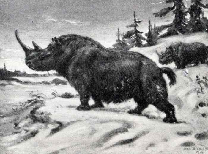 The 15 Most Beautiful and Amazing Extinct Animals - HubPages