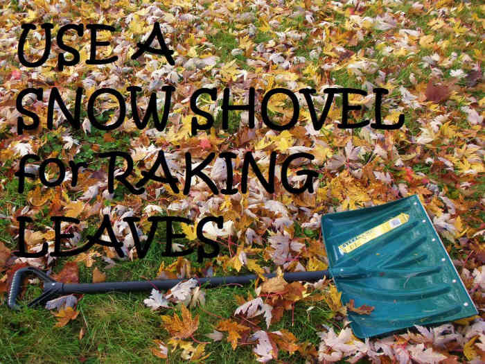 How to Rake Leaves Using a Snow Shovel - HubPages